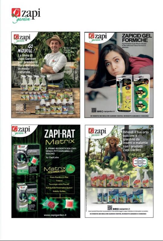 Notizie Arriva Il Catalogo 2025 Di Zapi Garden,Dalle Aziende
